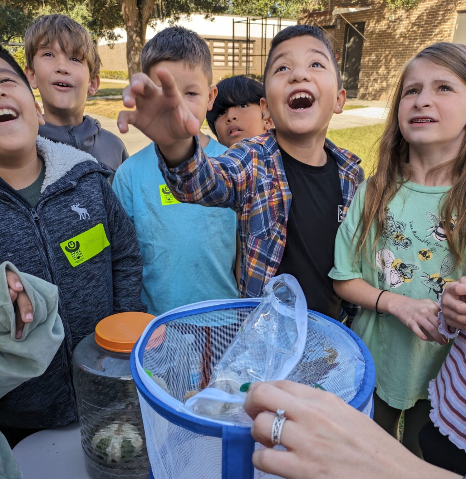 Classroom Grants Information & Application - Hillsborough Education ...